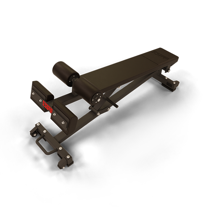 Decline Dumbbell Bench | Power Lift